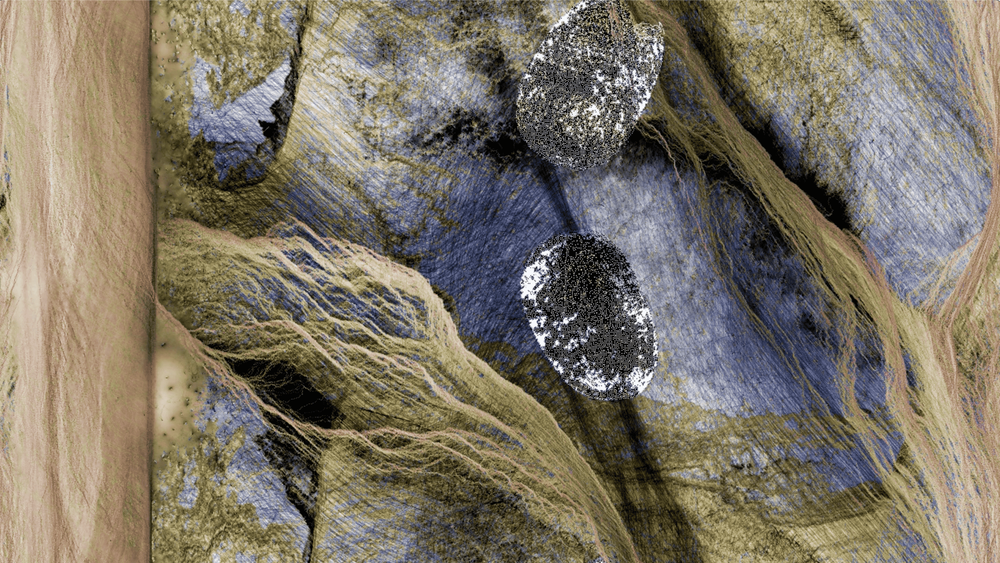 Driessens & Verstappen | DAM Projects