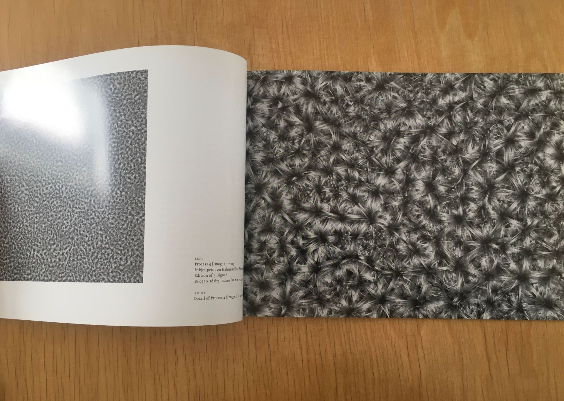 Casey Reas - Process/Drawing | DAM Projects